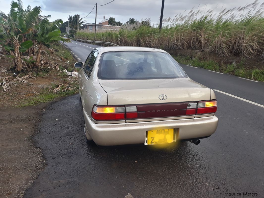 Used Toyota EE101 | 1993 EE101 for sale | Palmar Toyota EE101 sales ...