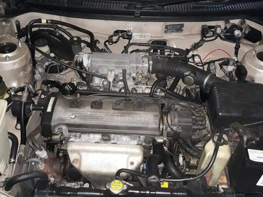 Used Toyota EE101 | 1993 EE101 for sale | Palmar Toyota EE101 sales ...