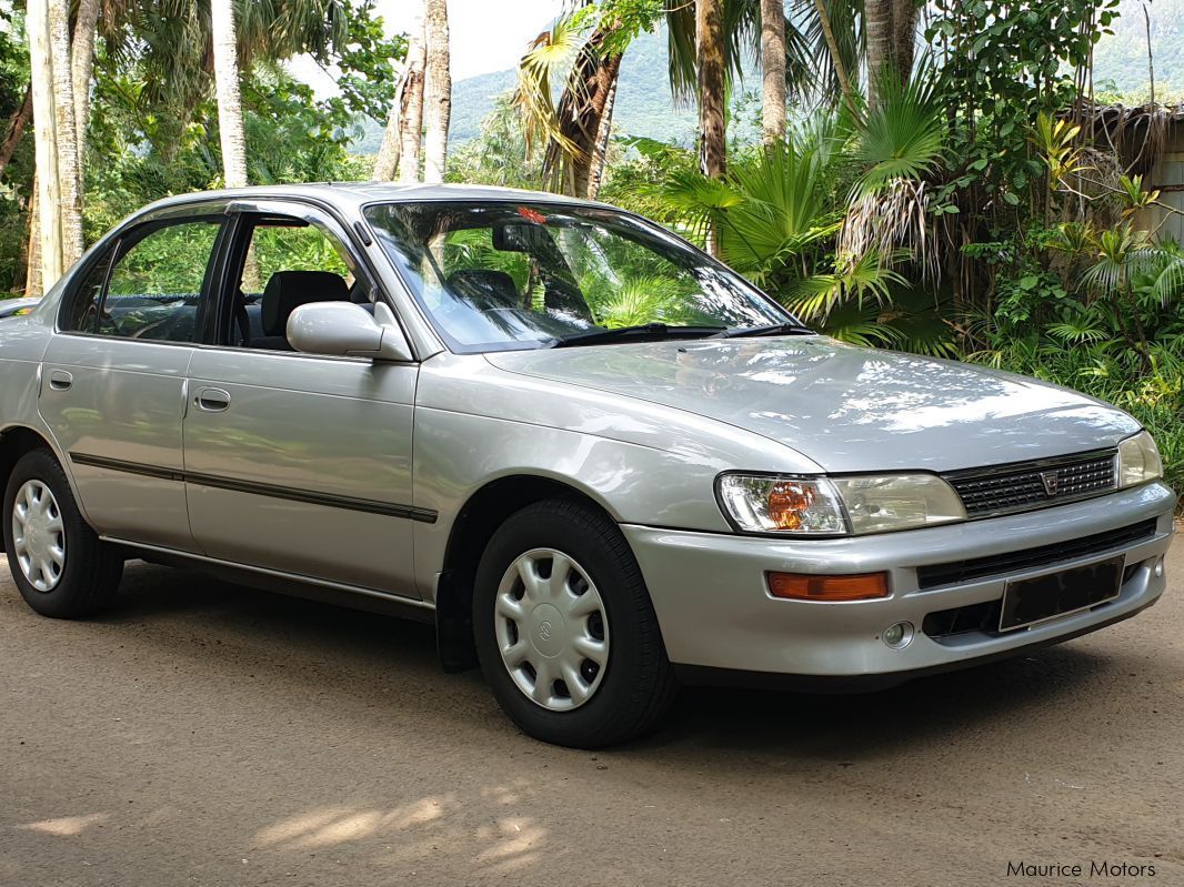 Used Toyota E101 | 1994 E101 for sale | Vieux Grand Port Toyota E101 ...