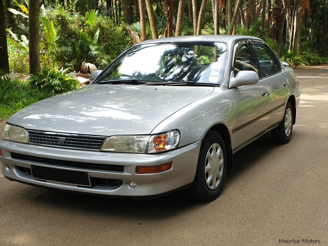 Used Toyota E101 | 1994 E101 for sale | Vieux Grand Port Toyota E101 ...