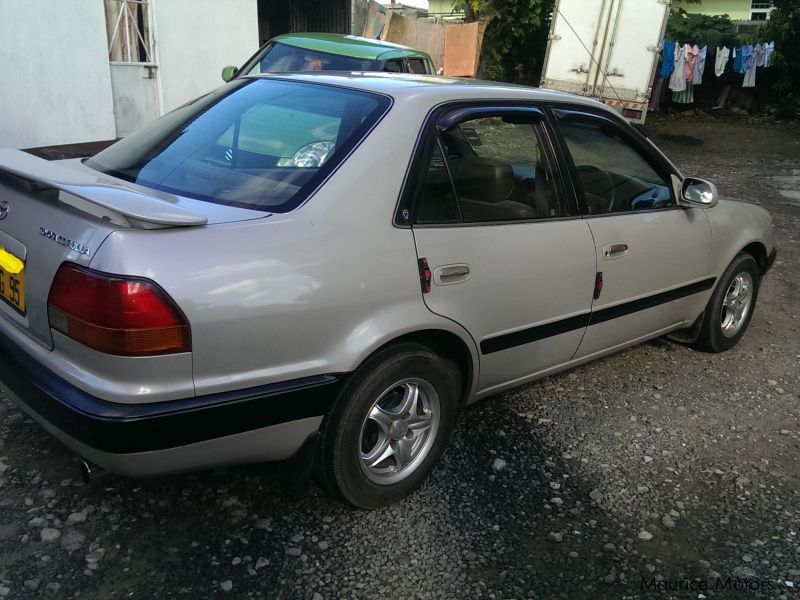 Used Toyota Corolla EE111 | 1995 Corolla EE111 for sale | Dubreuille ...