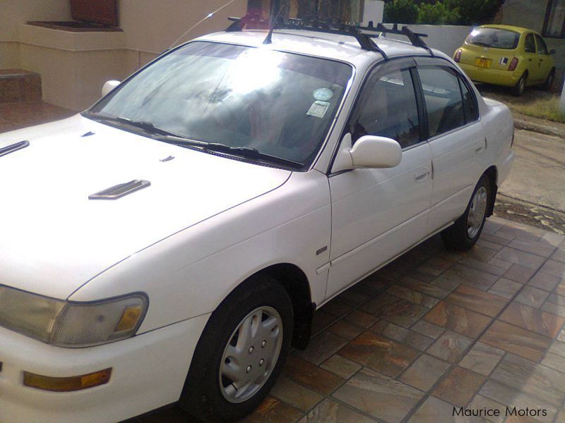 Used Toyota EE 101 | 1995 EE 101 for sale | Notre Dame Toyota EE 101 ...