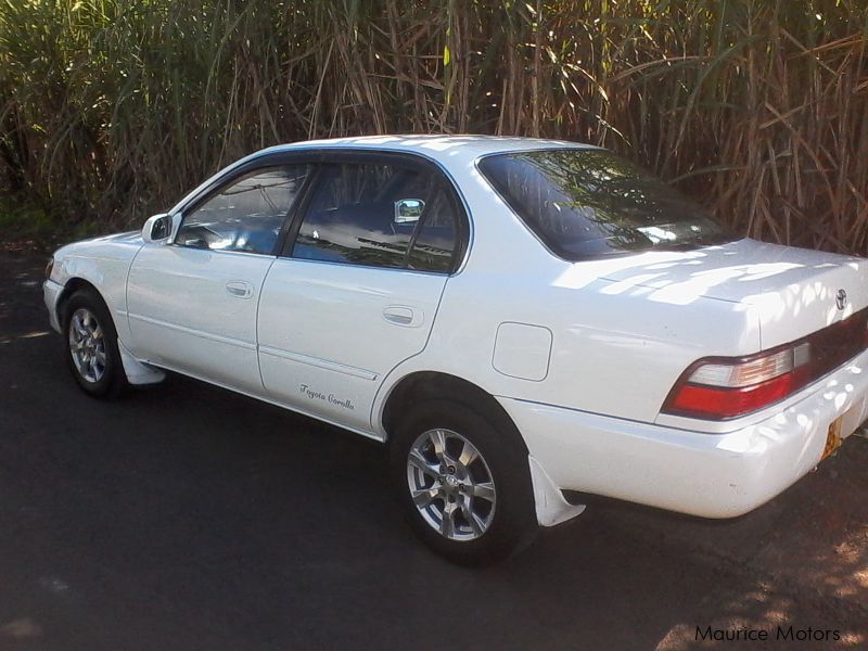 Used Toyota ee101 | 1995 ee101 for sale | mauritius Toyota ee101 sales ...