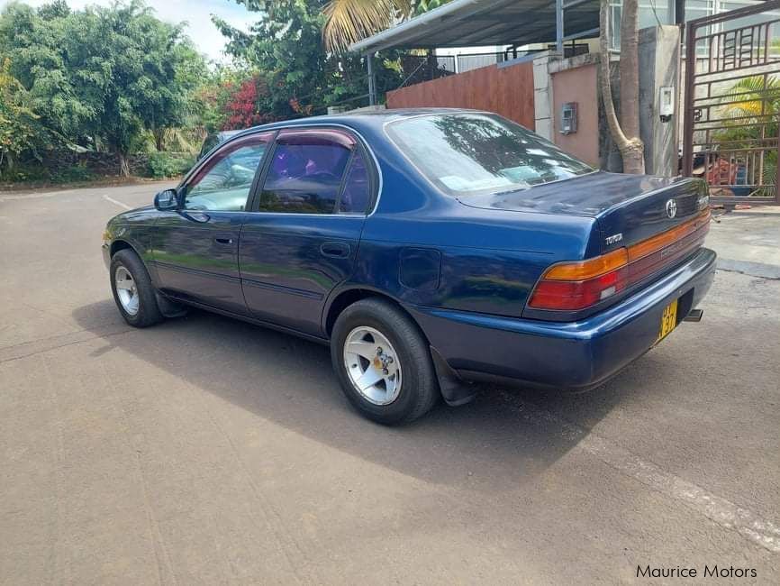 Used Toyota Corolla EE101 | 1997 Corolla EE101 for sale | Bel Air ...