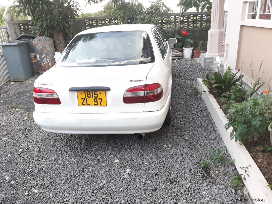 Used Toyota Corolla EE111 | 1997 Corolla EE111 for sale | Petite ...