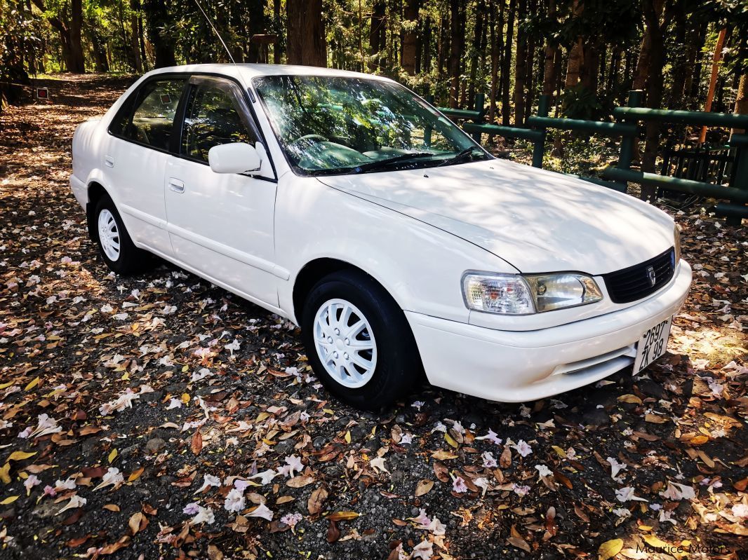 Used Toyota EE111 | 1998 EE111 for sale | Laventure Toyota EE111 sales ...