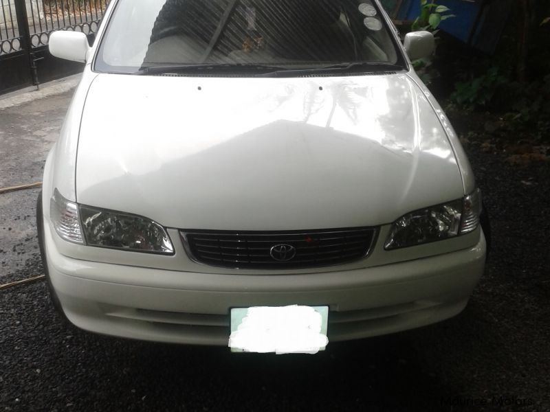 Used Toyota EE111 | 1998 EE111 for sale | BEETUN LANE FLOREAL Toyota ...