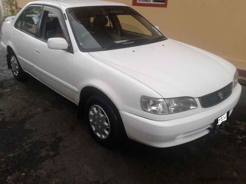 Used Toyota EE111 | 1998 EE111 for sale | Riviere Du Rempart Toyota ...