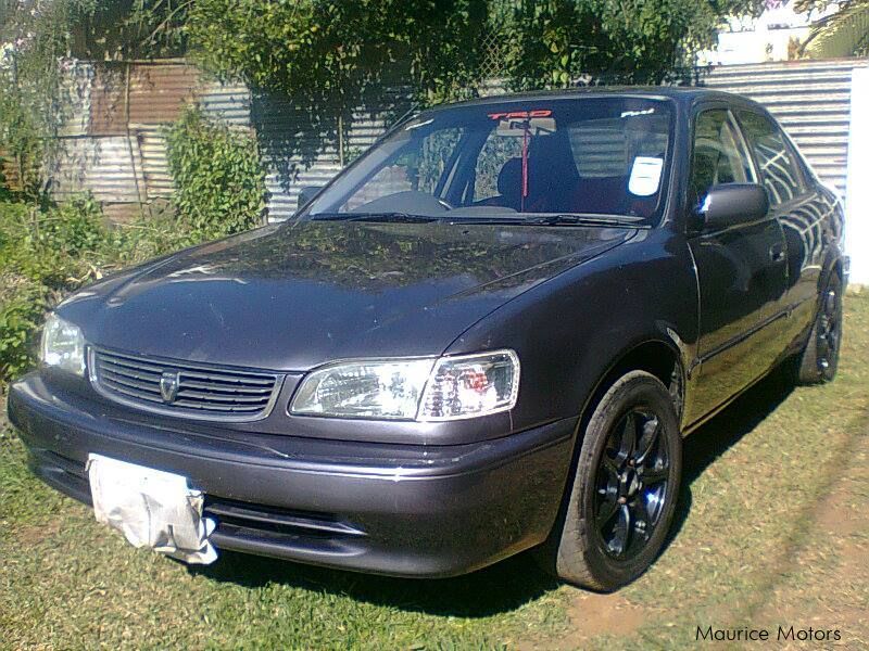 Used Toyota ee 111 | 1998 ee 111 for sale | TERRE-ROUGE Toyota ee 111 sales | Toyota ee 111 ...