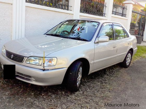 Used Toyota Corolla EE-111 | 1999 Corolla EE-111 for sale | T-rouge ...
