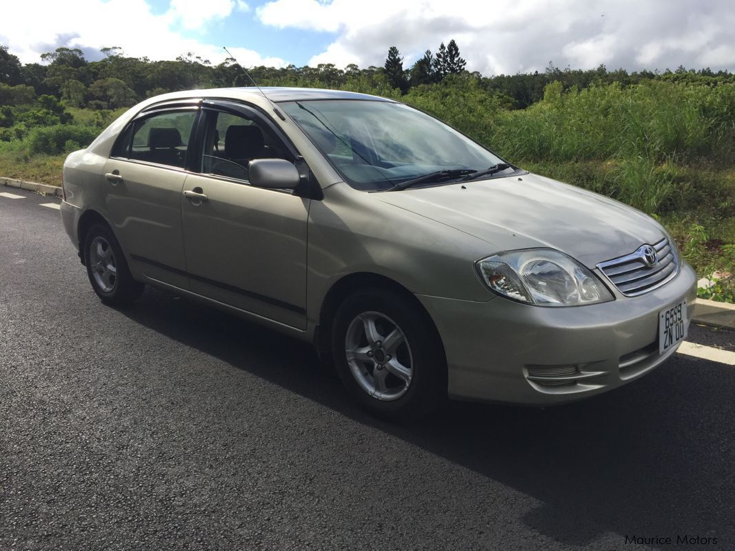 Used Toyota Corolla NZE | 2000 Corolla NZE for sale | Pailles Toyota ...