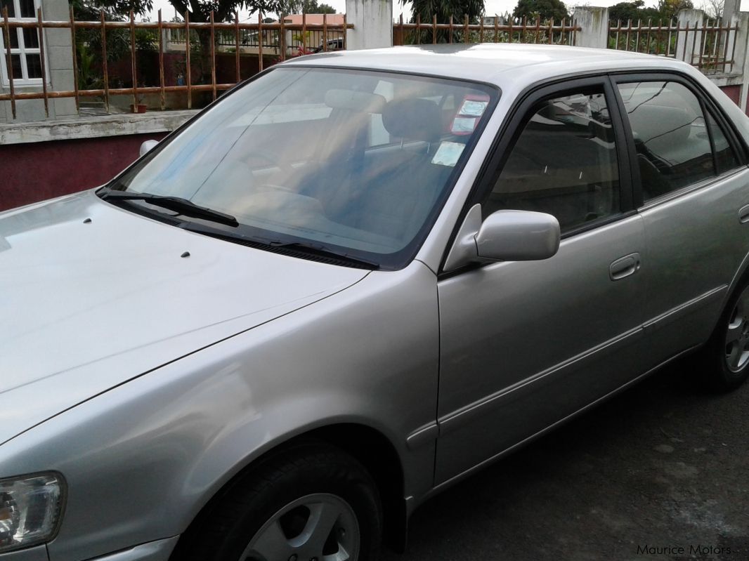 Used Toyota EE 111 | 2000 EE 111 for sale | Camp de Masque Toyota EE ...