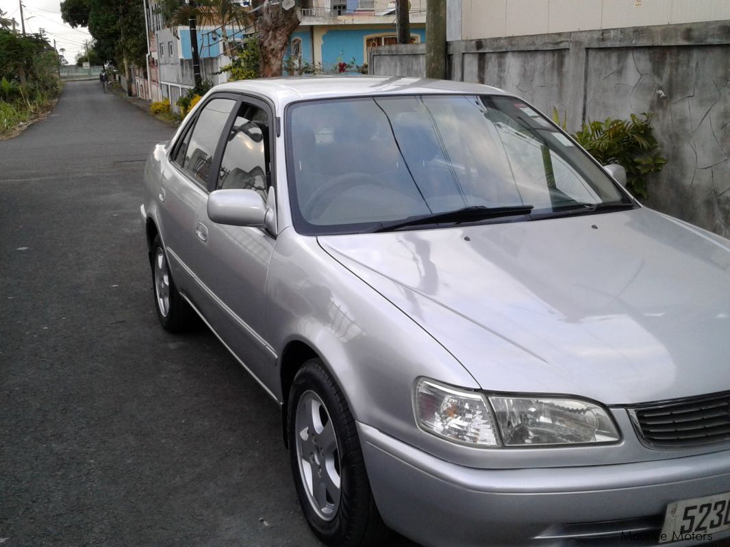 Used Toyota EE 111 | 2000 EE 111 for sale | Camp de Masque Toyota EE ...