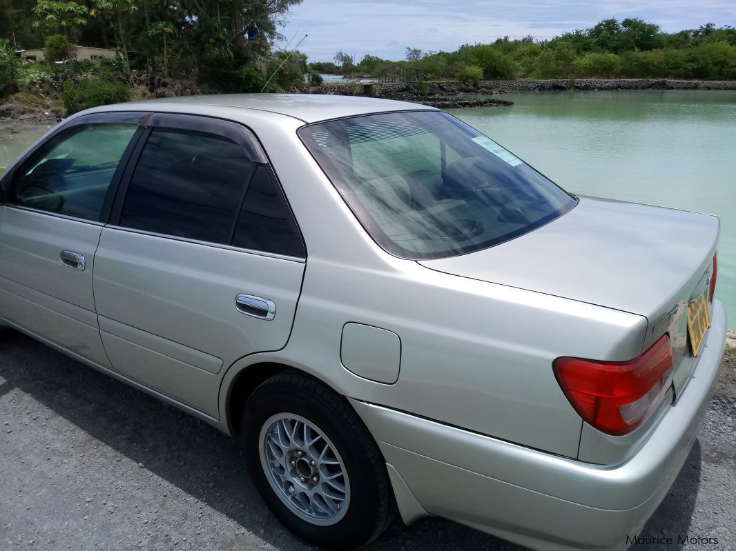 Used Toyota Carina Ti | 2001 Carina Ti for sale | Petit Raffray Toyota ...