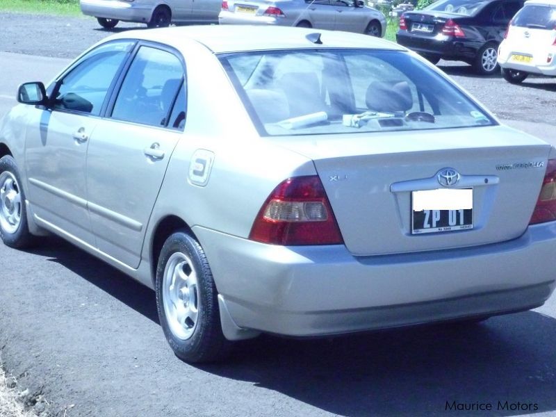 Used Toyota Corolla NZE 121 | 2001 Corolla NZE 121 for sale | Royal ...