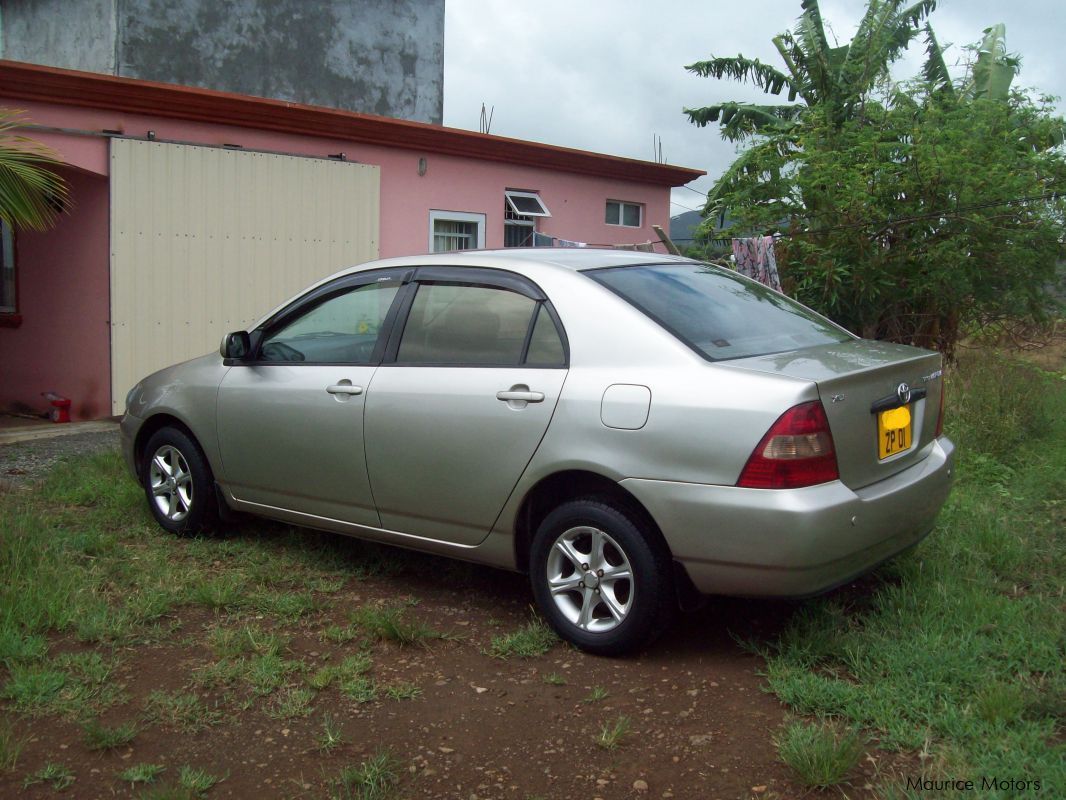 Used Toyota Corolla NZE | 2001 Corolla NZE for sale | Flacq Toyota ...