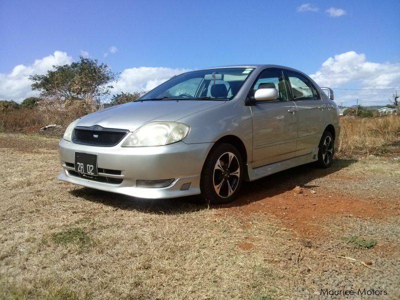 Used Toyota Corolla -NZE | 2002 Corolla -NZE for sale | albion Toyota ...