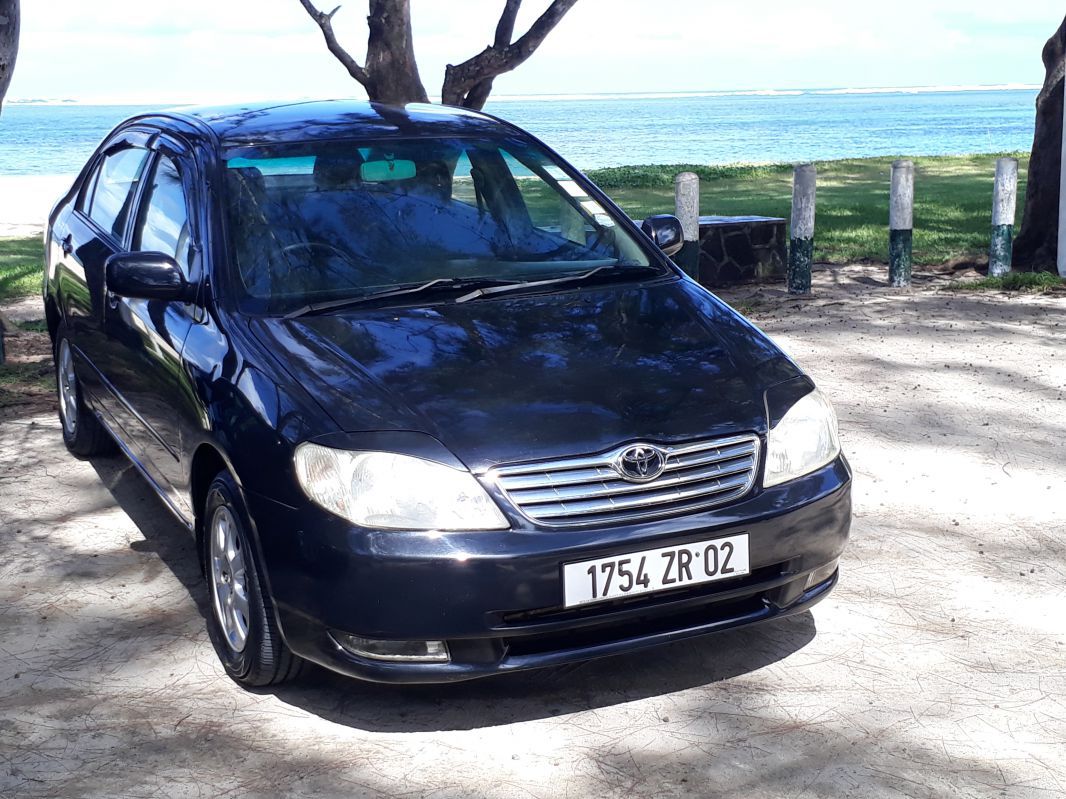 Used Toyota Corolla NZE | 2002 Corolla NZE for sale | Souillac Toyota ...