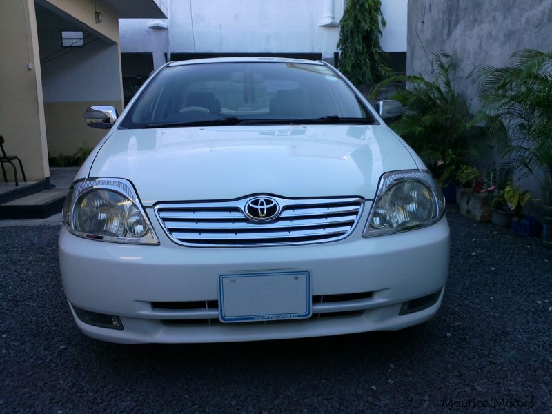 Used Toyota Corolla NZE | 2002 Corolla NZE for sale | Goodlands Toyota ...