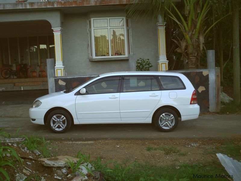 Used Toyota Fileder | 2002 Fileder for sale | Moka Toyota Fileder sales ...