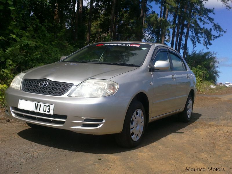 Used Toyota COROLLA NZE | 2003 COROLLA NZE for sale | Q-MILITAIRE ...