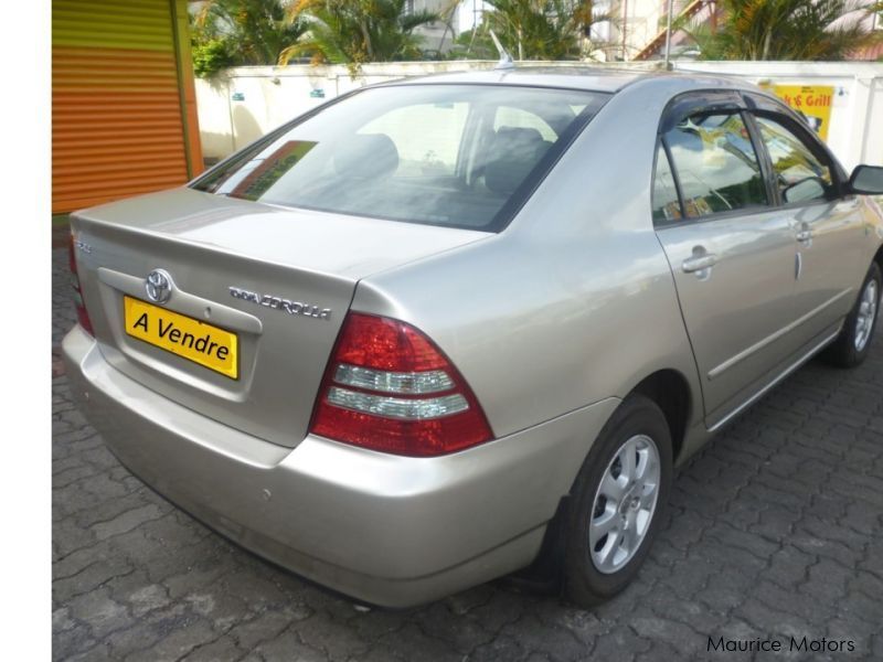 Used Toyota Corolla NZE | 2003 Corolla NZE for sale | Rose-Hill Toyota ...