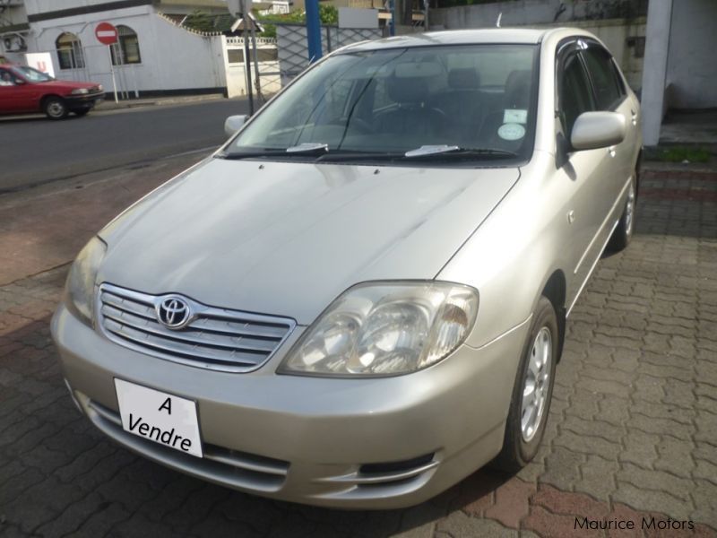 Used Toyota Corolla NZE | 2003 Corolla NZE for sale | Rose-Hill Toyota ...