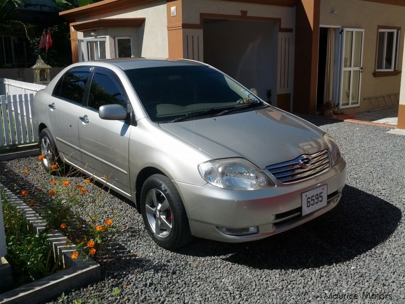Used Toyota NZE 121 | 2003 NZE 121 for sale | St julien dhotman Toyota ...