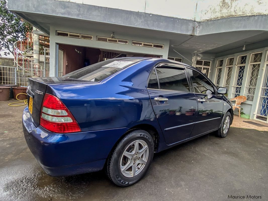 Used Toyota Nze | 2003 Nze for sale | Quatre Bornes Toyota Nze sales ...