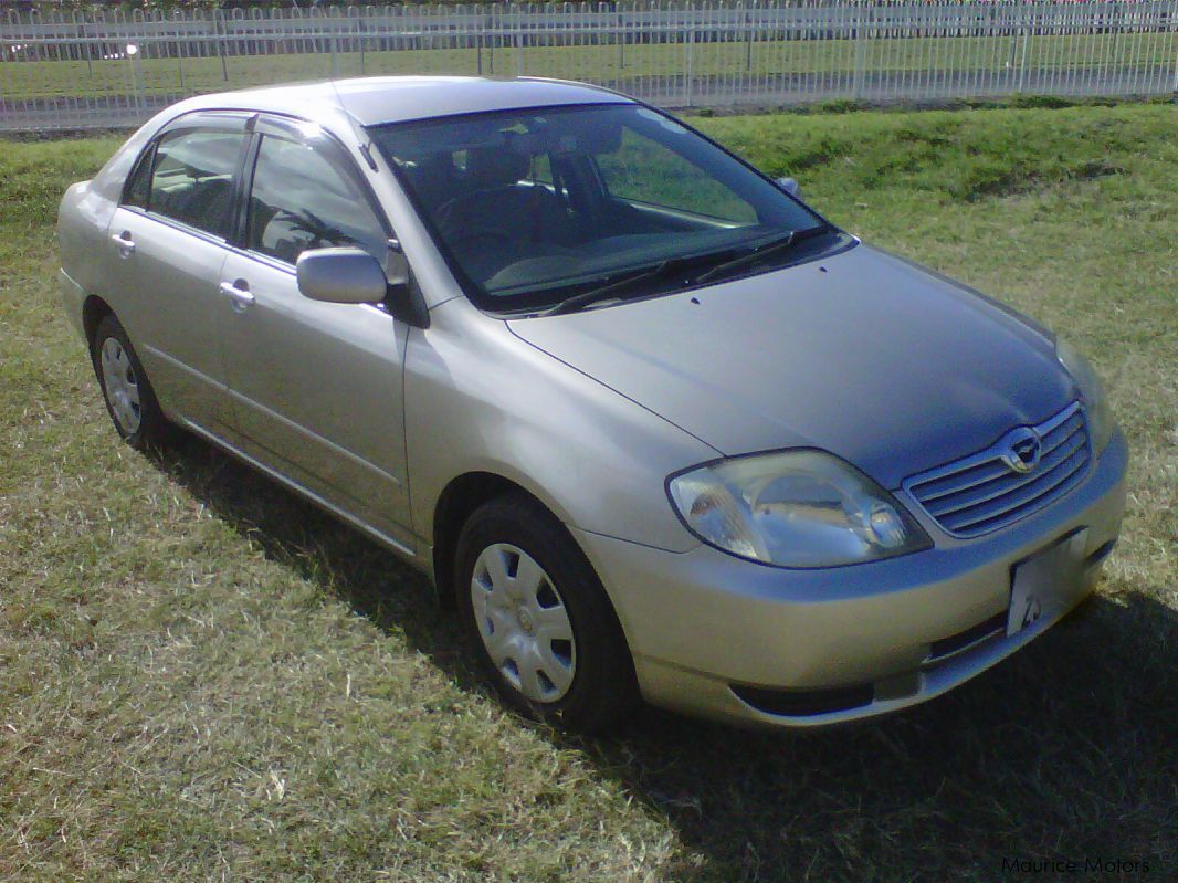Used Toyota Corolla Nze | 2004 Corolla Nze for sale | Beau Bassin ...