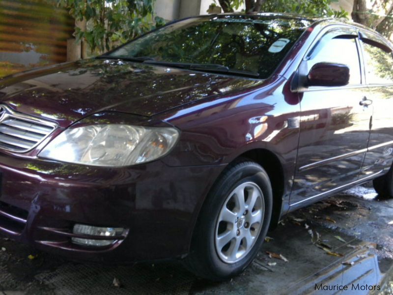 Used Toyota corolla nze xli | 2004 corolla nze xli for sale | glen park ...