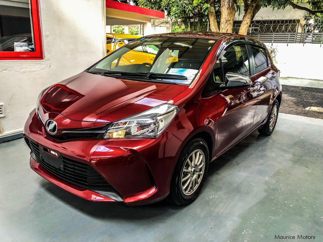 Used Toyota Vitz Jewela | 2015 Vitz Jewela for sale | Belle Rose Toyota ...