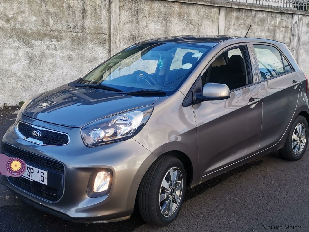 Used Kia Picanto | 2016 Picanto for sale | Vacoas Kia Picanto sales ...
