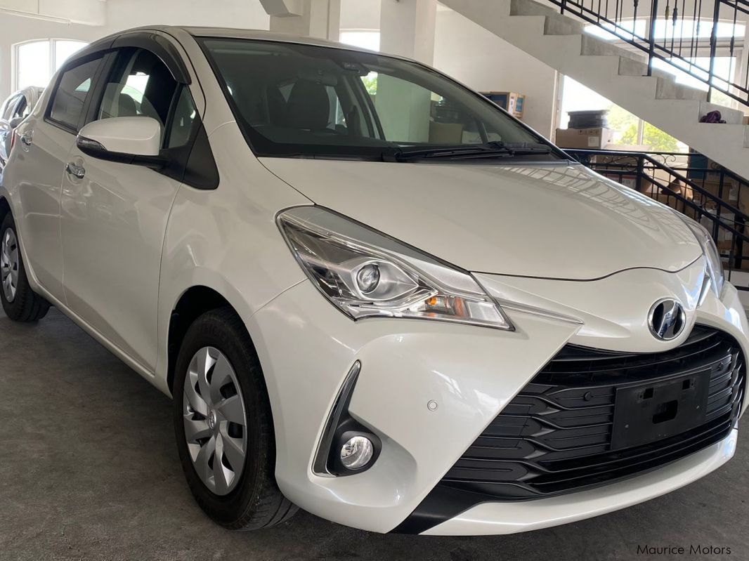 Used Toyota Vitz 1320 CC F Safety Edition 3 | 2019 Vitz 1320 CC F ...