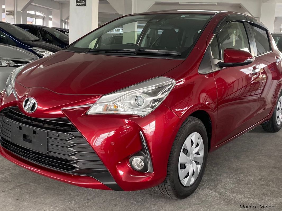 Used Toyota Vitz 1320 CC F Safety Edition 3 | 2019 Vitz 1320 CC F ...