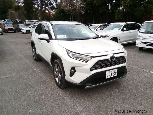 Used Toyota RAV4 HYBRID G | 2021 RAV4 HYBRID G for sale | Bon Accueil Toyota RAV4 HYBRID G sales ...